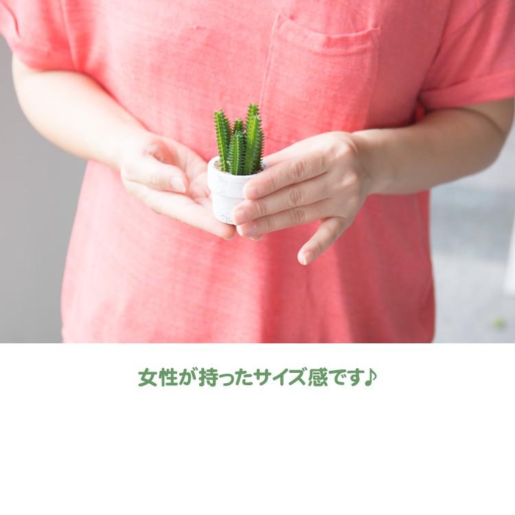 神戸花物語 フェイクグリーン 観葉植物 人工観葉 卓上 ミニ 神戸花物語 フェイクグリーン 観葉植物 人工観葉 卓上 ミニ
