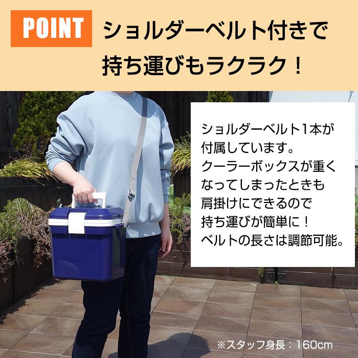 JEJアステージ 収納ボックス クーラーボックス 7L 小型 フォレス JEJアステージ 収納ボックス クーラーボックス 7L 小型 フォレス