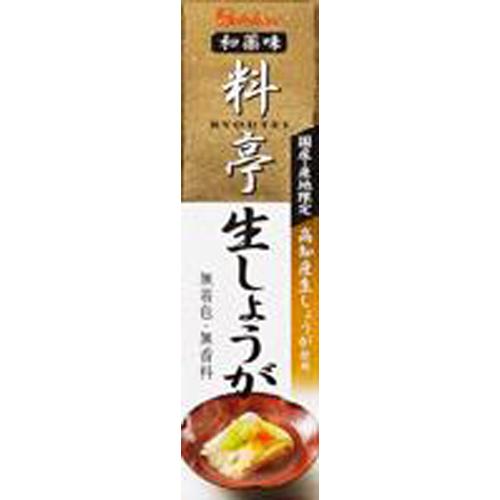 ハウス食品 料亭生しょうが 31g 10×6個 合計60個 : Re-light Yahoo!ショップ - 通販 - Yahoo!ショッピング