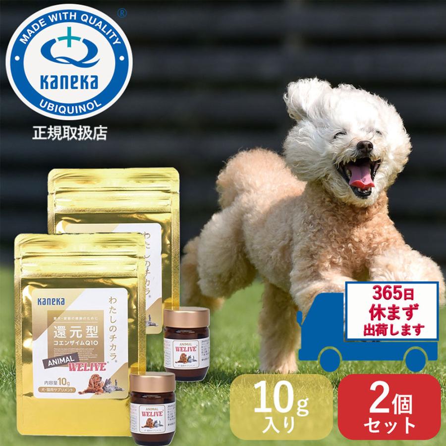 カネカユアヘルスケア 還元型コエンザイムQ10 わたしのチカラ ANIMAL WELIVE 10g 2個セット : ss-awl110-2 : サプリ専門店サプリステーション - 通販 ...