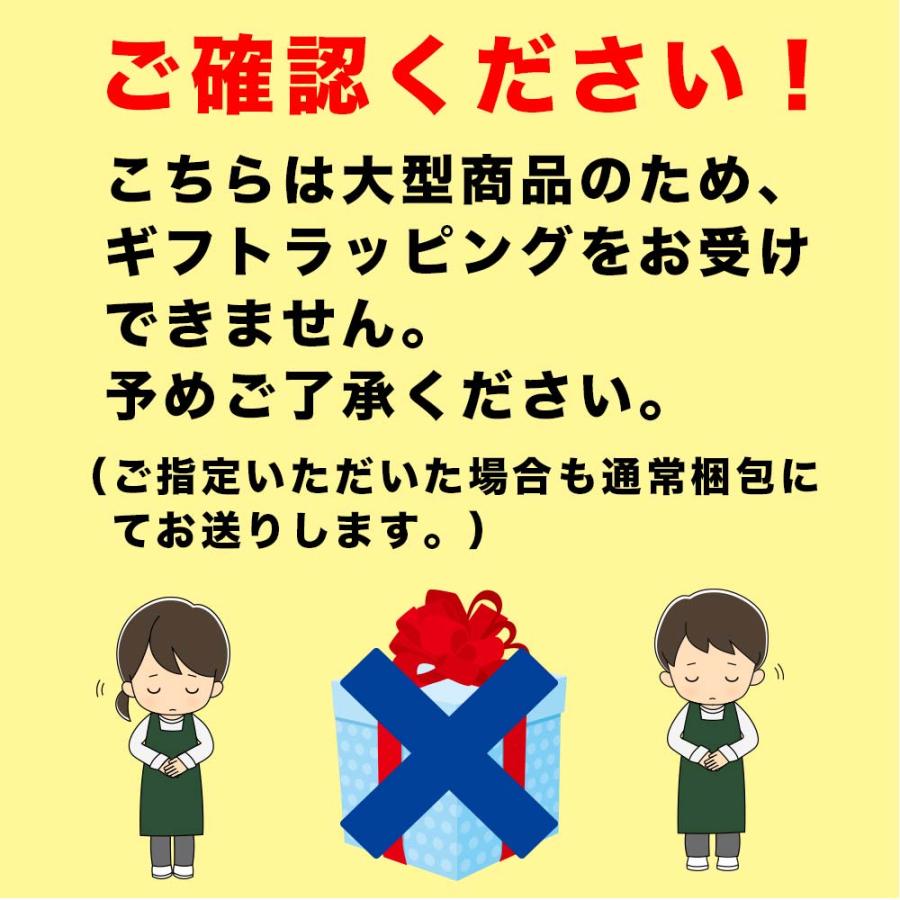 VICTORINOX 【日本正規品】 ビクトリノックス スーツケース 機内 VICTORINOX 【日本正規品】 ビクトリノックス スーツケース 機内