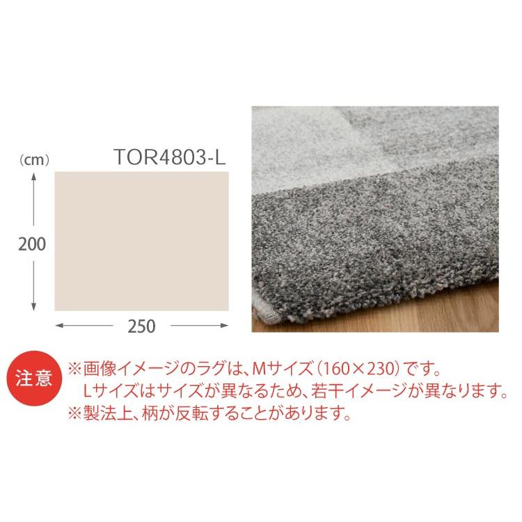 東リ ラグ 200×250cm 石目調 テクスチャー タイル模様 じゅうたん 全1色 TOR4803-L : ytotor4803l : カベコレ Yahoo!店 - 通販 - Yahoo ...