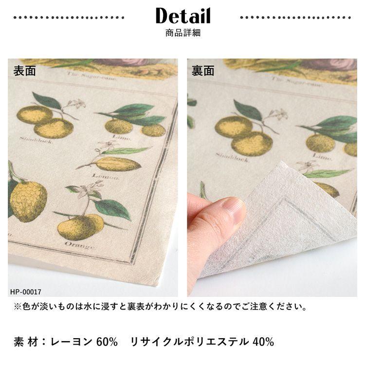 Hattan 水だけで貼れる はがせる アートポスター オズの魔法使い 挿絵 Mサイズ 45x60cm 賃貸OK Art Poster ハッ ...