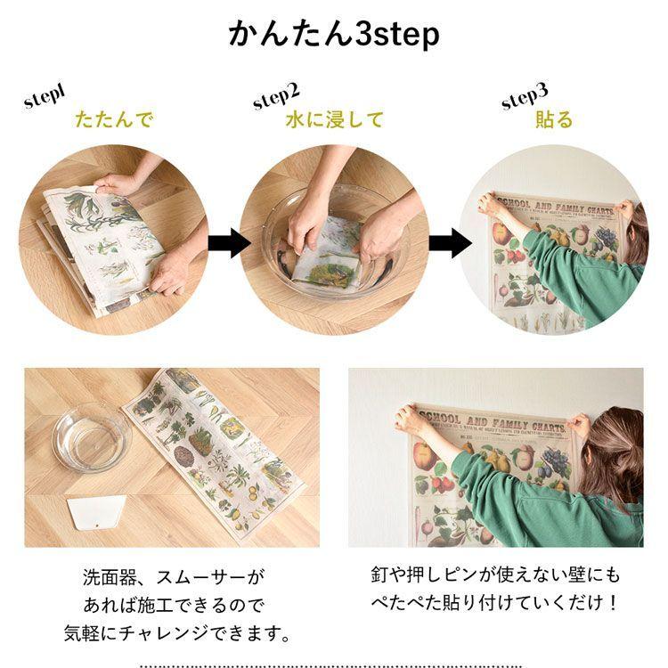 Hattan 水だけで貼れる はがせる アートポスター オズの魔法使い 挿絵 Mサイズ 45x60cm 賃貸OK Art Poster ハッ ...