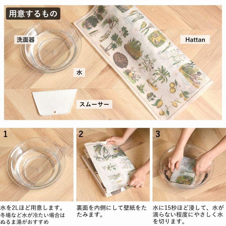 Hattan 水だけで貼れる はがせる アートポスター イラスト 猫 CAT Lサイズ 90x56cm 賃貸OK Art Poster ハッタンアートポスター フレームなし HP-00113 ...