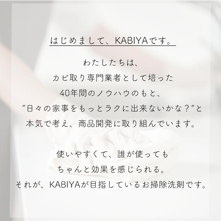 KABIYA おためしセット 水垢落とし 水垢 水垢取り洗剤 水垢取り 水垢クリーナー カビ取り剤 強力 お風呂 タイル目地 カビ取りジェル ...