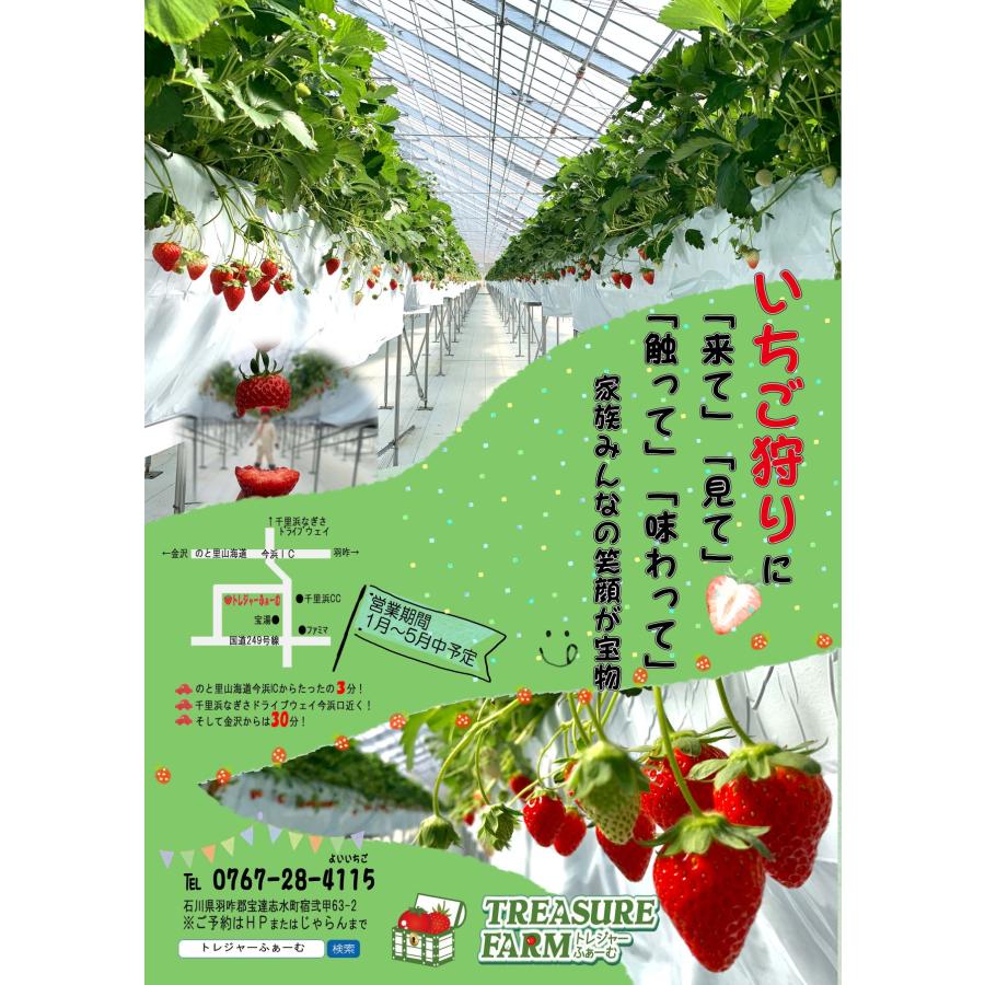 トレジャーふぁーむ イチゴジャム 130g : 加賀・能登地酒専門店 じゃんぷ - 通販 - Yahoo!ショッピング