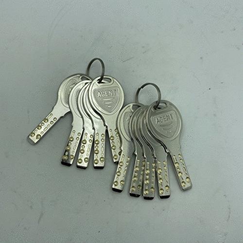 AGENT ディンプルキー MIWA LIX(TE0)タイプ+LSP(TE22)タイプ 取替シリンダー 10本付 シルバー 【品番:LS5-LSP/TEO】【2個同一SET】 :LS5TEO ...
