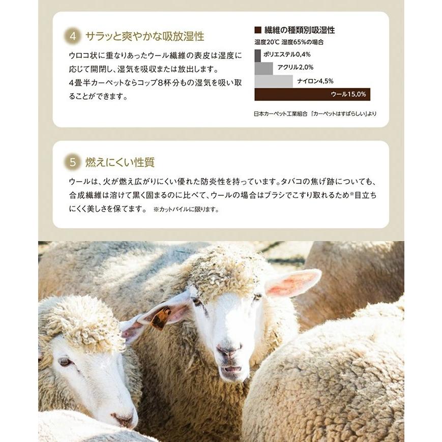 【江戸間 3畳 176×261 アスメロディ】毛(ウール)・防炎・制電・防虫・遮音・抗菌・防ダニ・カーペット・絨毯(じゅうたん)・ラグ・ハイ&ローループ : カーペット&ギャッベ 家具の中西 ...