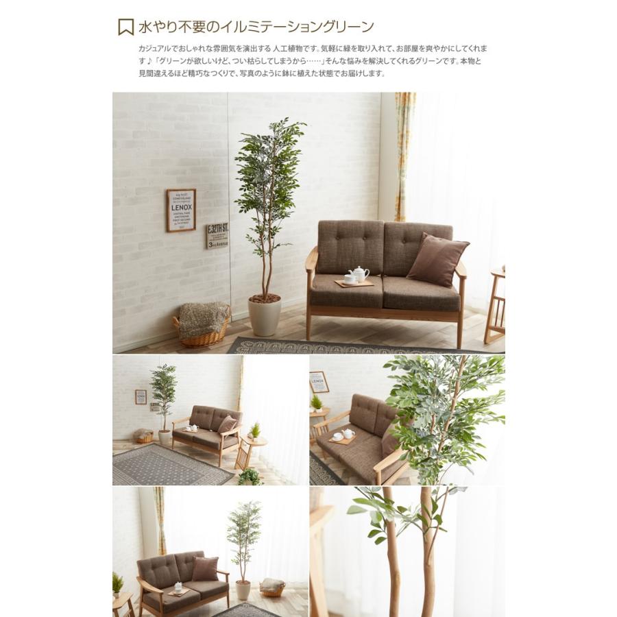 観葉植物 トネリコ toneriko tonerico 室内 イミテーショングリーン : 家具350 - 通販 - Yahoo!ショッピング