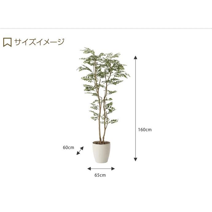 観葉植物 トネリコ toneriko tonerico 室内 イミテーショングリーン : 家具350 - 通販 - Yahoo!ショッピング