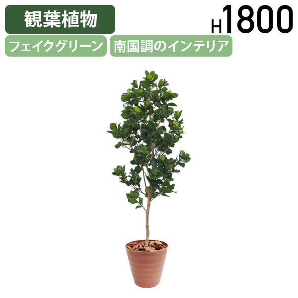日比谷花壇 クルシア W700 D700 H1800 フェイクグリーン 人工観葉植物 観葉植物 フェイク 造花 観葉樹 衛生的 室内 受注生産 代引不可 法人宛限定 HBY-CLS-18 ...
