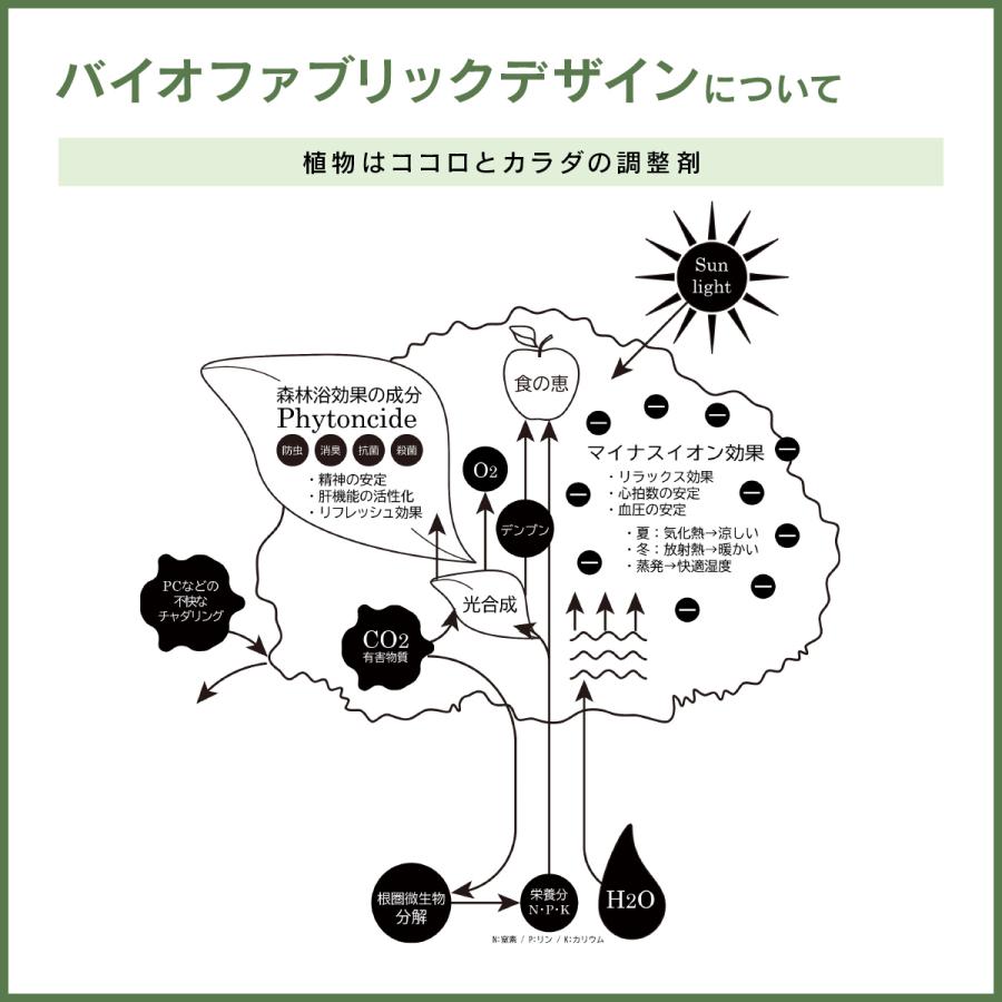 エバーフレッシュ W700 D700 H1500 フェイクグリーン 人工観葉植物 観葉植物 フェイク 造花 観葉樹 衛生的 室内 受注生産 代引不可 法人宛限定 HBY-EVF-15 ...