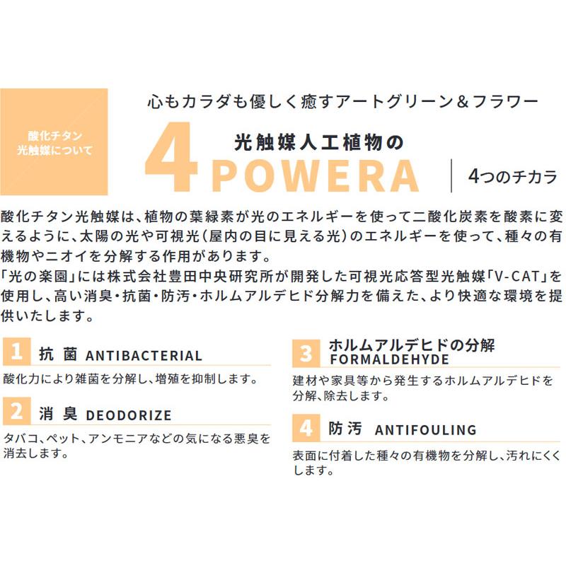 フェイクグリーン 人工植物 グリーンポット ミニ鉢植え 高さ約27cm みどり 緑 リラックス ウッドボックス UT-0426 : カグロー Yahoo!店 - 通販 - Yahoo!ショッピング