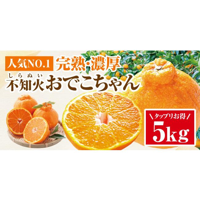 不知火（しらぬい）おでこちゃん 5kg L〜4Lサイズ混合 : 株式会社果宝堂 - 通販 - Yahoo!ショッピング