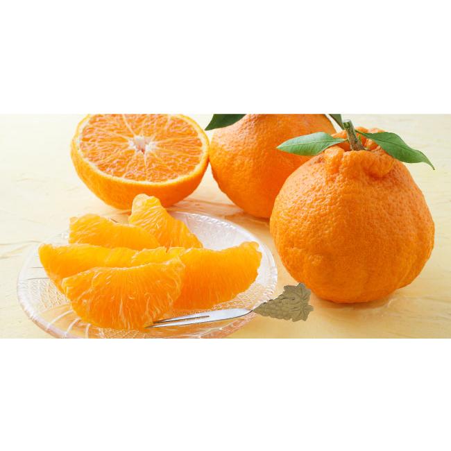 不知火（しらぬい）おでこちゃん 5kg L〜4Lサイズ混合 : 株式会社果宝堂 - 通販 - Yahoo!ショッピング