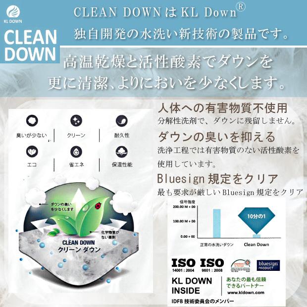 抗ウイルス加工 フルテクト 羽毛合い掛け布団 シングルロング 150×210cm ポーランド産ホワイトマザーグースダウン95％ 0.6kg DP440 掛け布団 合掛け : flutect ...