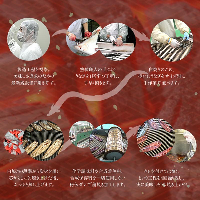 しおそう うなぎ 蒲焼き 国産 無頭 特大サイズ 約200g×1尾 ウナギ 鰻 2尾以上のご注文で化粧箱配送 うなぎ蒲焼 贈り物 父の日 お中元 土用の丑の日 : 港ダイニングしおそう ...