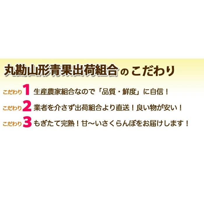 さくらんぼ 2026年 紅秀峰 特秀 L〜2L 手詰め 500g b6 丸勘 山形 MK 贈答 ギフト 送料無料 並べ詰め プレゼント チェリー お中元 農産物 : 花ギフト山形産果物野菜花樹 ...