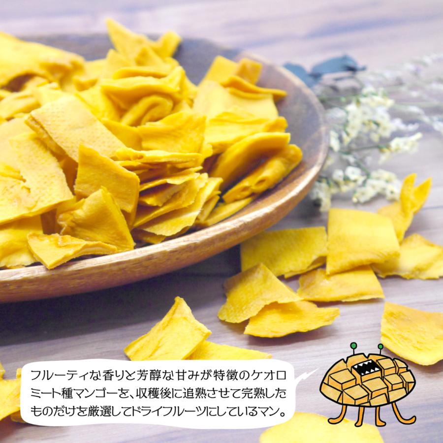 カジュベース 個包装 無添加 砂糖不使用 ドライマンゴー 480g(40g×12袋) ドライフルーツ :mango-12packs:砂糖不使用ドライフルーツ専門店カジュベース - 通販 ...