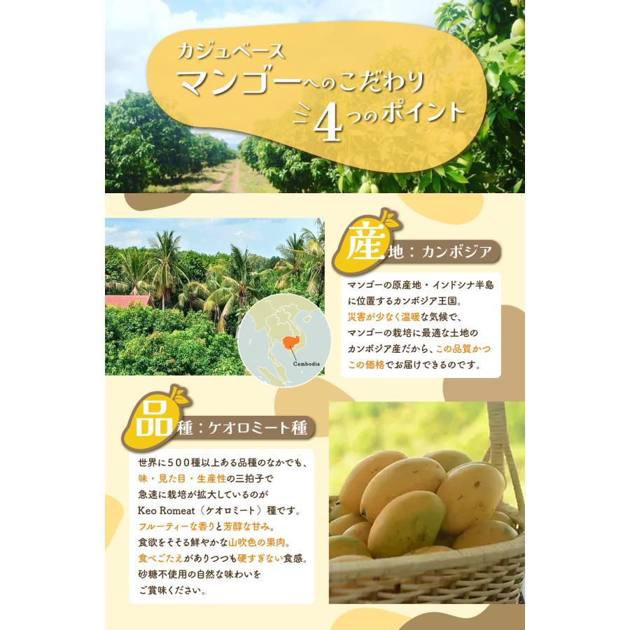 カジュベース 個包装 無添加 砂糖不使用 ドライマンゴー 480g(40g×12袋) ドライフルーツ : 砂糖不使用ドライフルーツ専門店カジュベース - 通販 - Yahoo!ショッピング