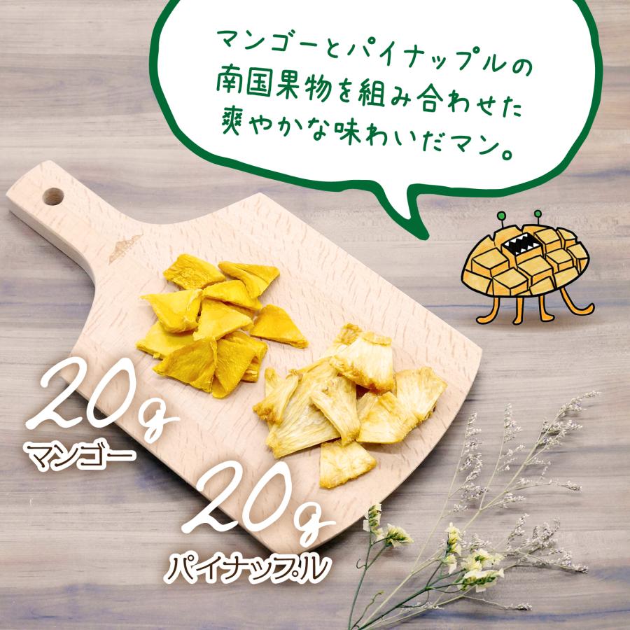 カジュベース 個包装 砂糖不使用 ドライフルーツ ピーピーボックス 480g(40g×各3袋) パイナップル マンゴー 洋なし レーズン プルーン デーツ :pp-box-12packs:砂糖 ...