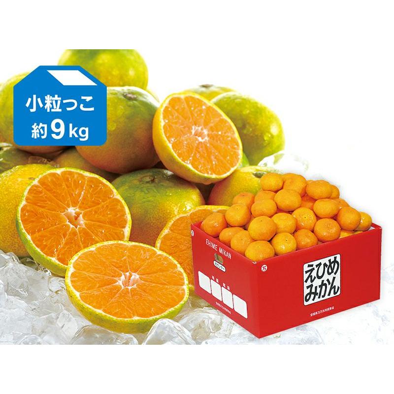 みかん 愛媛みかん（極早生みかん）9kg-小粒っ子 : のま果樹園 - 通販 - Yahoo!ショッピング