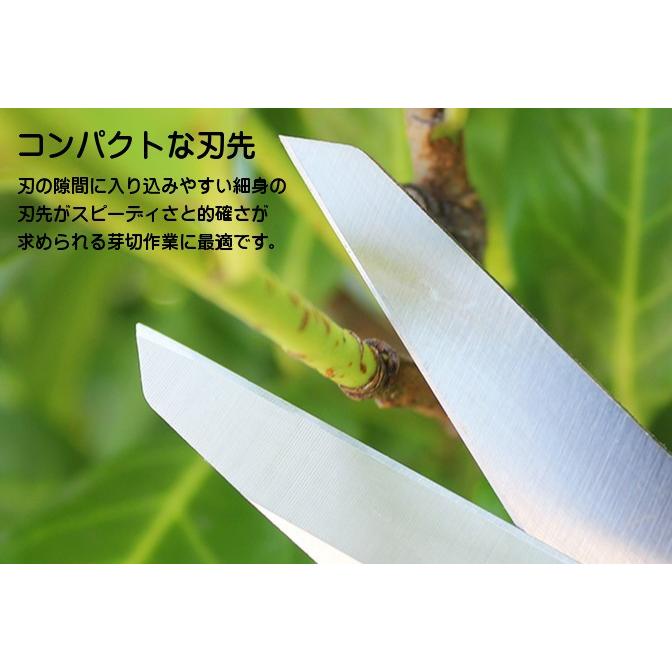 ニシガキ 太丸ハンディ芽切 N-948 バッテリー・充電器付 狭い枝木の間に 農家さん必見 : futomaru-mekiri : かかし屋ヤフー店 - 通販 - Yahoo!ショッピング