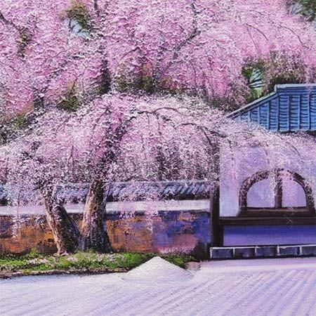 絵画 油絵 高台寺の桜 (木村由記夫) 【肉筆】【油絵】【桜絵 絵画 油絵 高台寺の桜 (木村由記夫) 【肉筆】【油絵】【桜絵