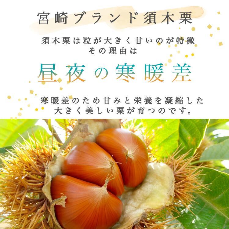 栗 甘露煮 国産 和栗 290g ×6袋 セット 宮崎県産 須木栗 パウチ お正月 栗きんとん おせち モンブラン マロン ペースト クリーム 袋 製菓 固形150g : かくやフーズ ...