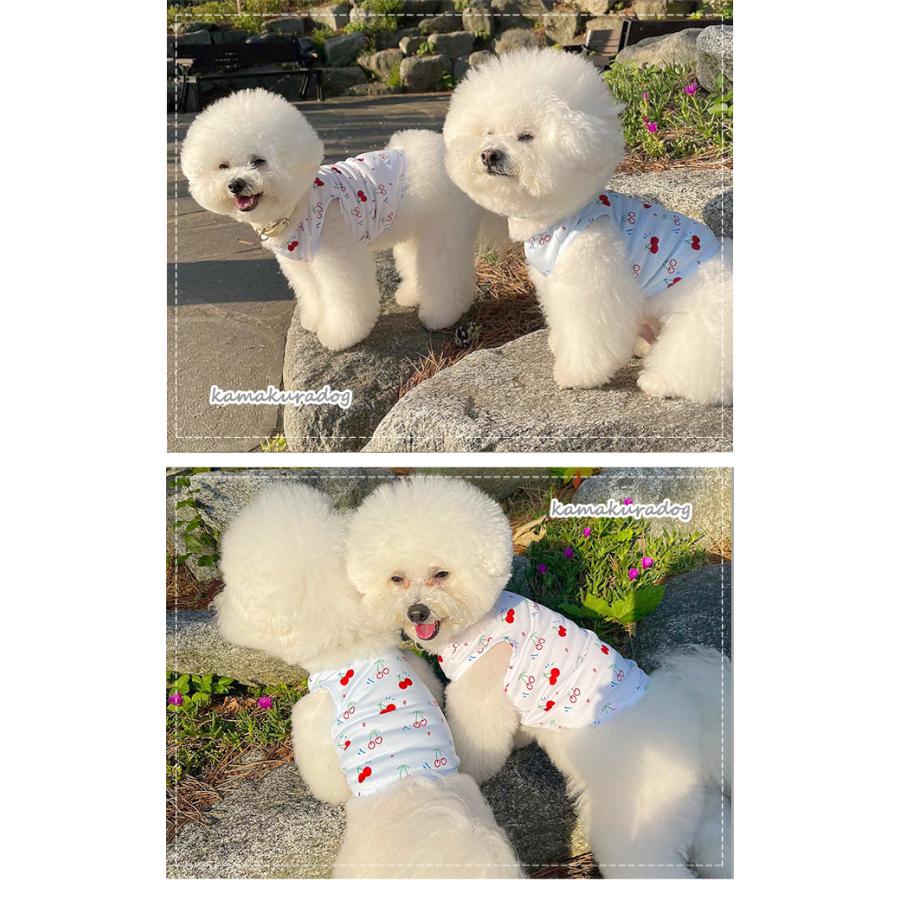 kamakuradog COOLメッシュチェリー柄タンク 犬の服 : 鎌倉DOG Yahoo!店 - 通販 - Yahoo!ショッピング