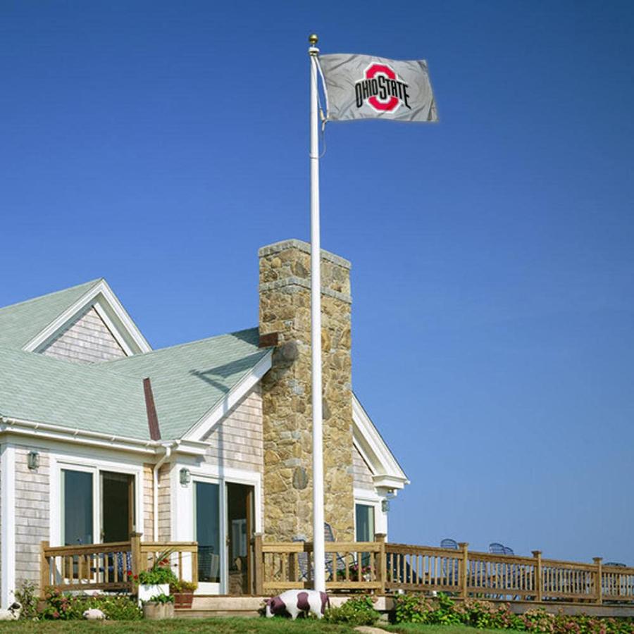 Ohio State OSU University Buckeyes Large Gray College Flag : かめよしエクスプレス ...