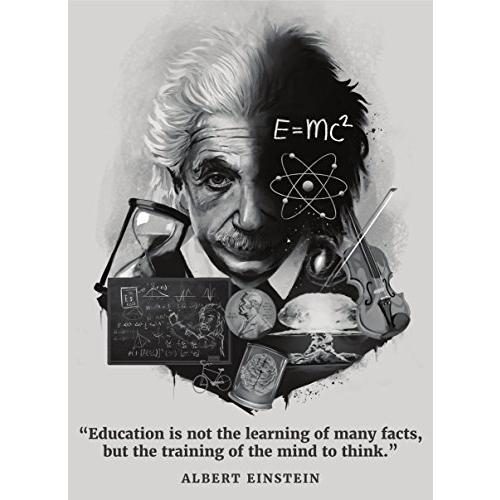 Palace Learning Albert Einstein Poster - Inspirational and Motivational Quote (18 x 24 Laminated ...