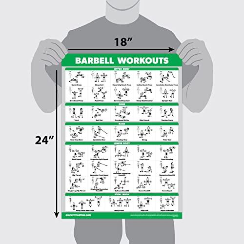 Palace Learning QUICKFIT Barbell Workout Exercise Poster - (Laminated ...