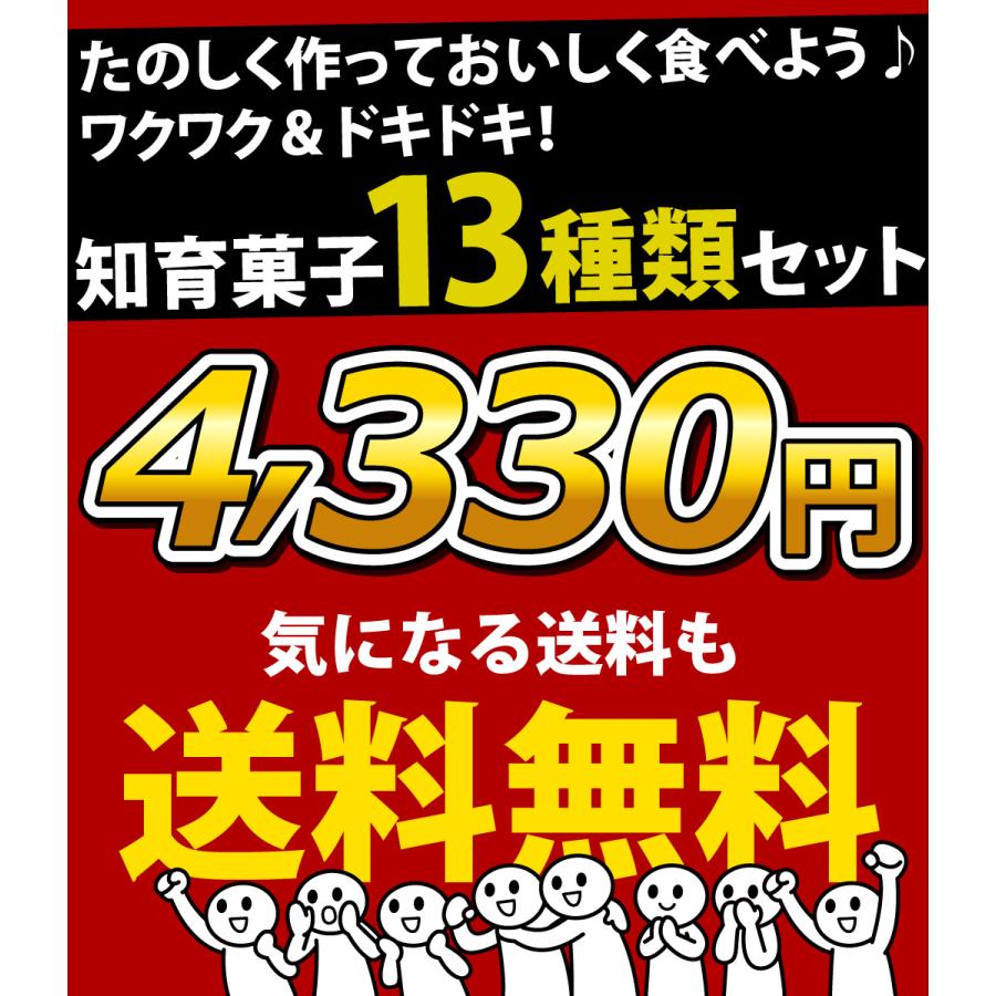 Kracie クラシエ 知育菓子詰め合わせ 13種類セット 駄菓子 お菓子 詰め合わせ プレゼント 子供 景品 イベント ねるねるねるね 知育菓子セット 送料無料 : kamejiro ...