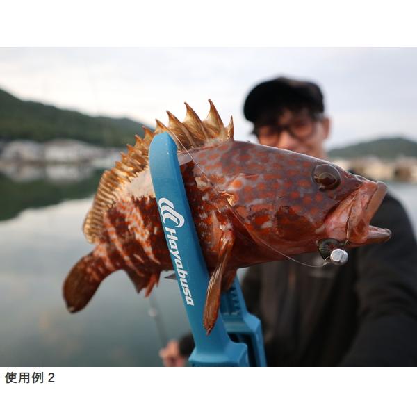 ハヤブサ [3] HE130 エサで遊ぼう エサヘッド 4g (N7) :4993722144625:かめや釣具 - 通販 - Yahoo!ショッピング