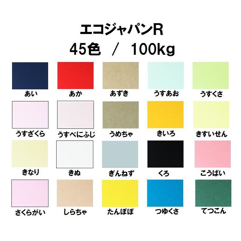 エコジャパンR 100kg(0.17mm) 選べる4サイズ(A3 A4 B4 B5) (カラーペーパー) : ecojpanr-100kg : KAMIOLSHOP Yahoo!店 - 通販 ...