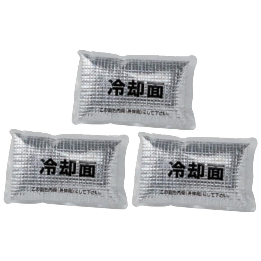 空調服 TM NZ-NCLP3 Nクースひんやりパック 高性能保冷剤3個入 8215981 NSP 小型便 在庫 : カナジン ヤフー店 - 通販 - Yahoo!ショッピング