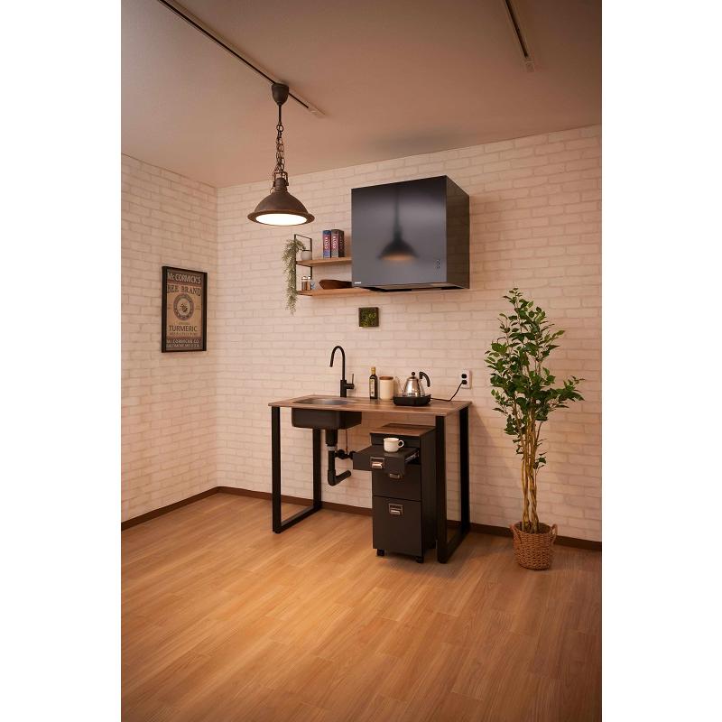 アイオ産業 TK-1200L コンパクトキッチン TK 流し台 間口1200mm シンク左 (水栓 別売) 【受注生産】 【1都3県の一部 送料無料】 : 住設建材カナモンジャー - 通販 ...