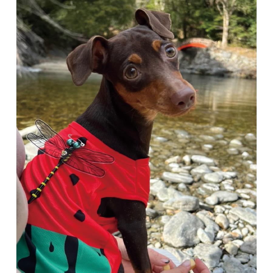 【3個セット】【送料無料】【株式会社 Eikyu（エイキュウ）正規品】 日本正規品】おにやんま君（ 安全ピンタイプ）Z-TB-1 虫よけ 蚊 カメムシ 効果 オニヤンマ : 金物PRO.com ...