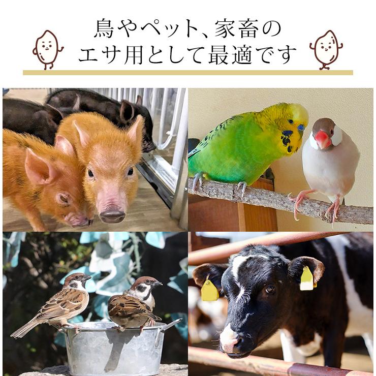 国産 着色米9kg（3kg×3袋） : 金崎さんちのお米ヤフー店 - 通販 - Yahoo!ショッピング