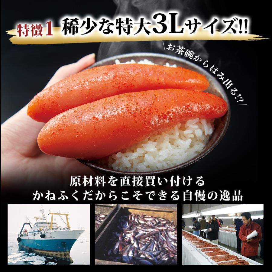 かねふく 明太子 ギフト ふとっぱら明太子 700g(2L〜3Lサイズ) 無着色 一本物 送料無料 kanefuku 贈り物 博多直送 公式ストア : かねふく公式 Yahoo!ショッピング店 ...