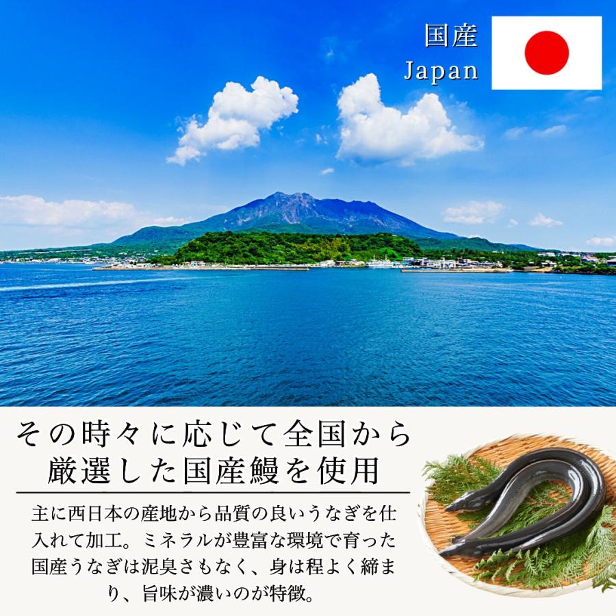 国産 刻み うなぎ 蒲焼き 250g(50g×10袋) 冷凍 鰻 レンチン 湯煎でOK 食べきり小分けパック 国内加工 鰻蒲焼 うなぎ蒲焼き【C配送：冷凍】 : かねなかや次兵衛 - 通販 ...
