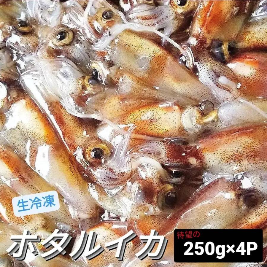 ホタルイカ A級 1kg 250g×4P 冷凍 生 ほたるいか 朝獲れ 新物 2025年 お試し お得用 小分け 薄型 真空パック 生冷凍 お刺身 しゃぶしゃぶ用 新鮮 鮮度抜群 ...