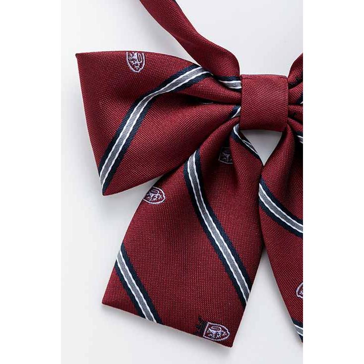 HANECTONE スクールリボン 制服 リボン ストライプ 小さめ 女子 レディース エンジ ネイビー グレー 赤 紺 高校生 中学生 通学 学生 ハネクトーン 51JM : カンコー ...