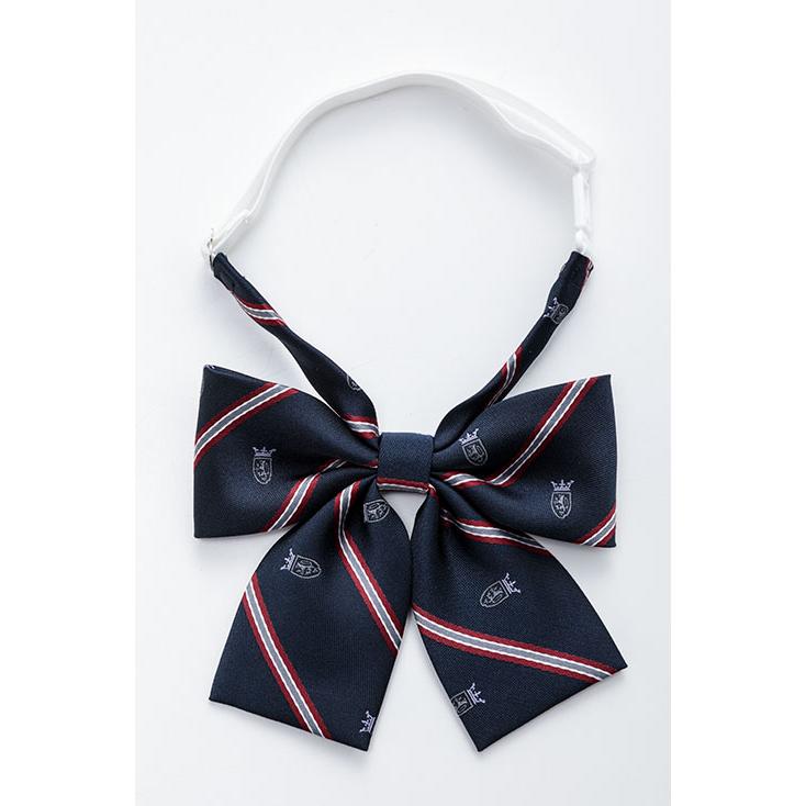 HANECTONE スクールリボン 制服 リボン ストライプ 小さめ 女子 レディース エンジ ネイビー グレー 赤 紺 高校生 中学生 通学 学生 ハネクトーン 51JM : カンコー ...