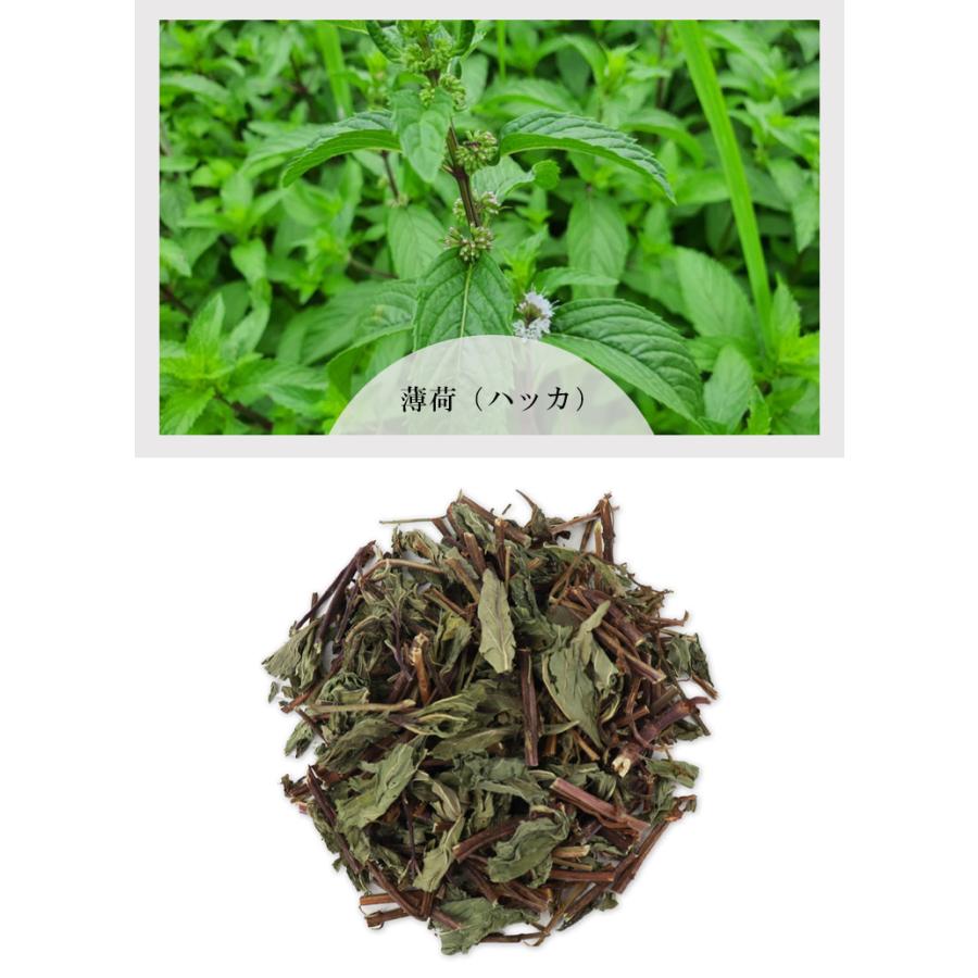 薄荷 ハッカ 選ぶ2タイプ 5g×10パック 60g 温活 自宅 よもぎ蒸し 乾燥ハーブ 韓国産 ハーブブレンド 家庭用 よもぎ蒸し座浴 ハーブ蒸し オーガニック : からだご褒美 - 通販 ...