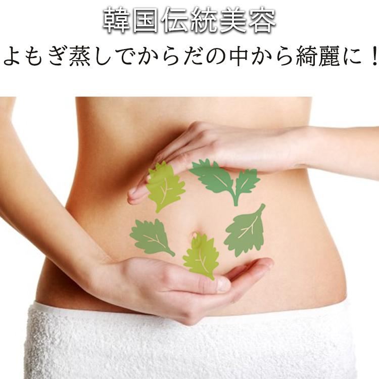 婦人系 21種類 105g ハーブブレンド 15g入り7パック オリジナル よもぎ蒸し パック 乾燥よもぎ 無添加 自宅 よもぎ蒸しセット : からだご褒美 - 通販 - Yahoo!ショッピング