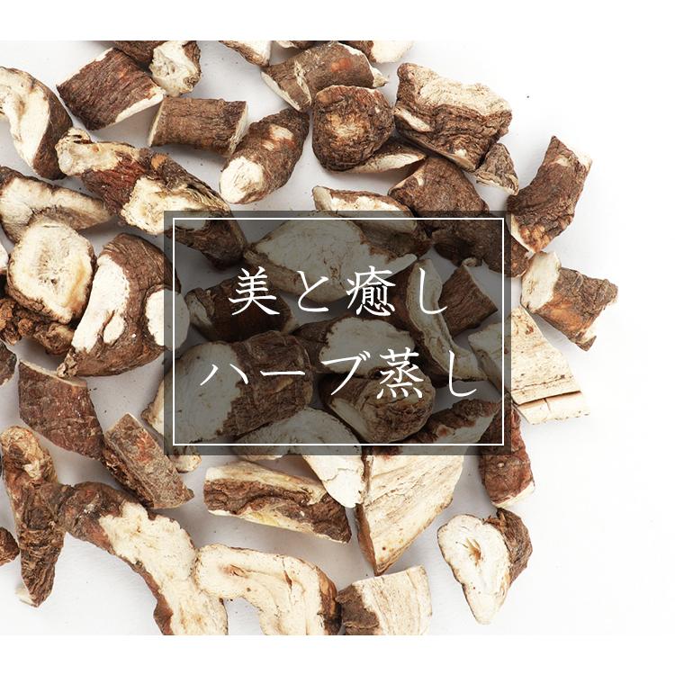 前胡 ゼンコ 選ぶ2タイプ 5g×10パック 60g 温活 自宅 よもぎ蒸し 乾燥ハーブ 韓国産 ハーブブレンド 家庭用 よもぎ蒸し座浴 ハーブ蒸し オーガニック : からだご褒美 - 通販 ...