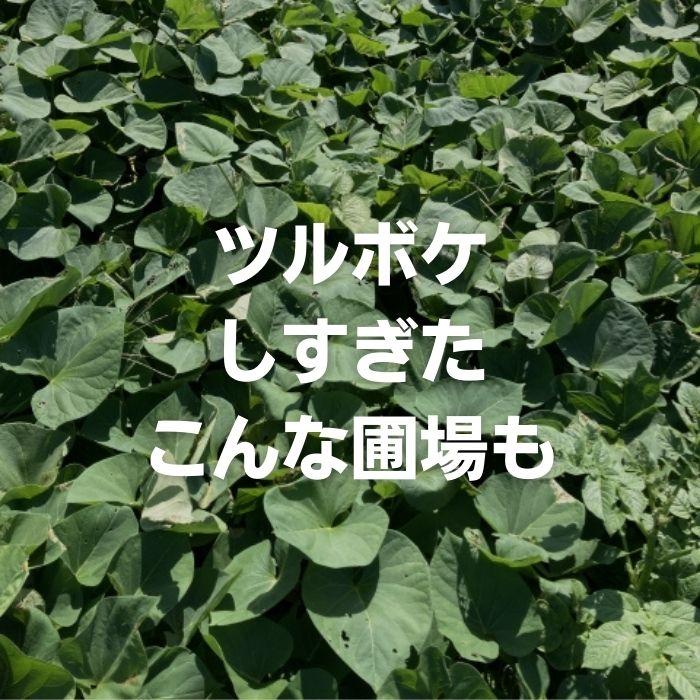 ー用つる刈機用土ほぐしディスク ジョーニシ THD-60K ニプロフレールモアFNC1002K用 ツル刈り 土ほぐし マルチはぎ マルチはがし【71-233】 : ノウキナビYahoo ...